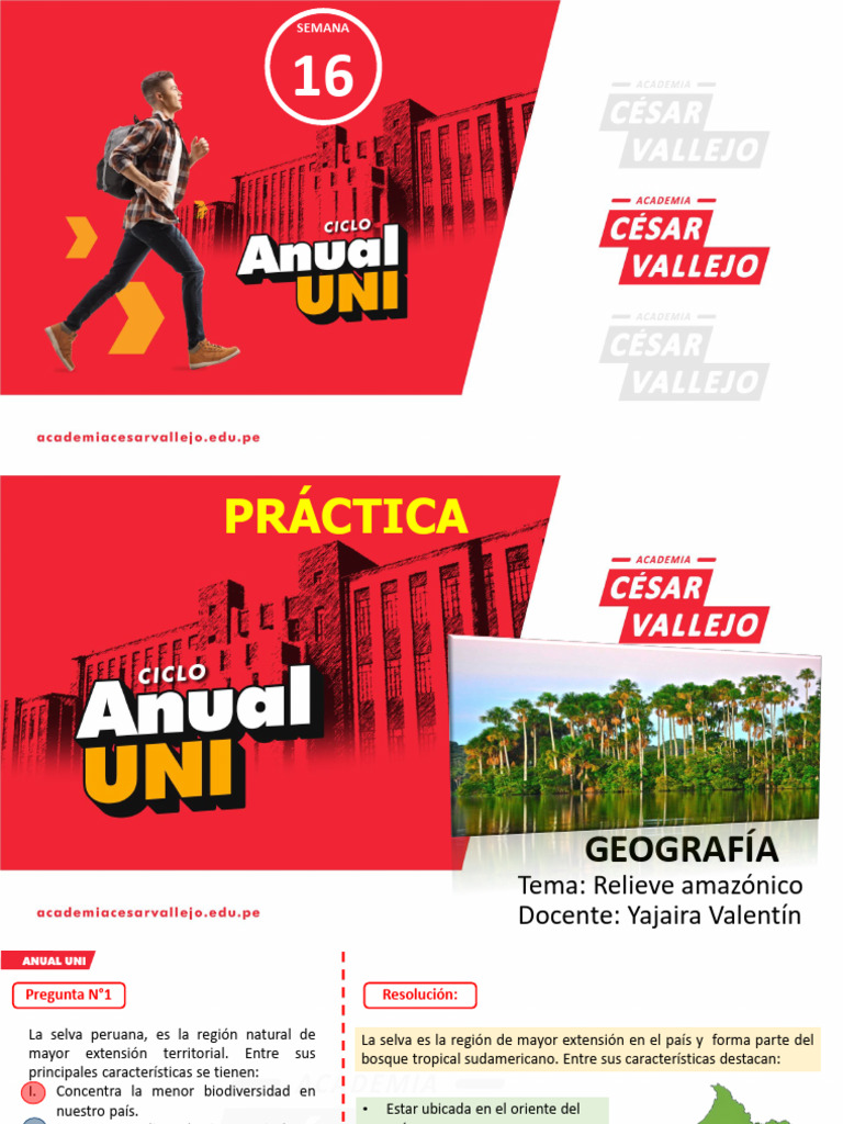 Relieve Amazonico | PDF | Ciencias de la Tierra | Geografía Física