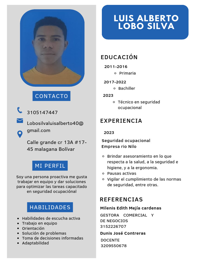 Hoja de Vida Luis Lobo | PDF