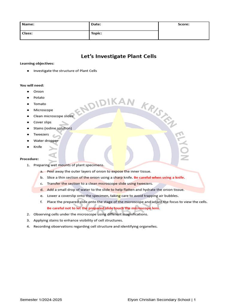 Let-S Investigate Plant Cells | PDF