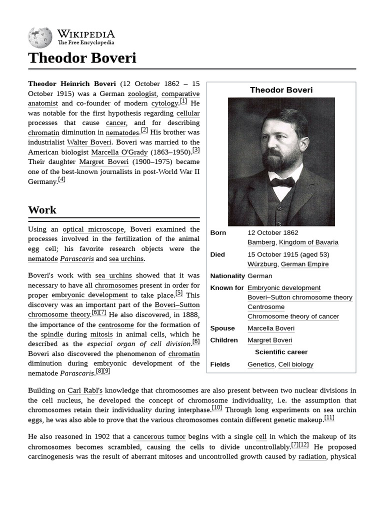 Theodor_Boveri | PDF | Life Sciences | Biology