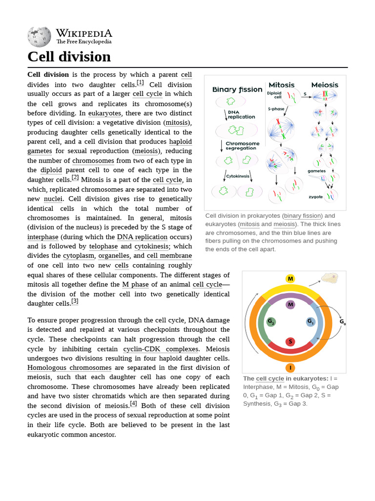 Cell_division | PDF | Mitosis | Meiosis