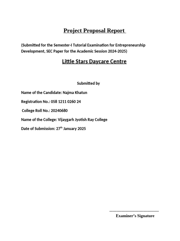 Little Stars Daycare Project Proposal | PDF | Child Care
