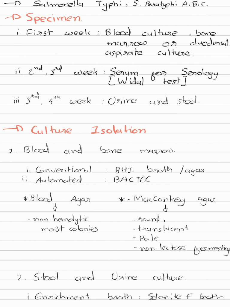 Enteric Fever Lab Diagnosis - 241128 - 051804 | PDF