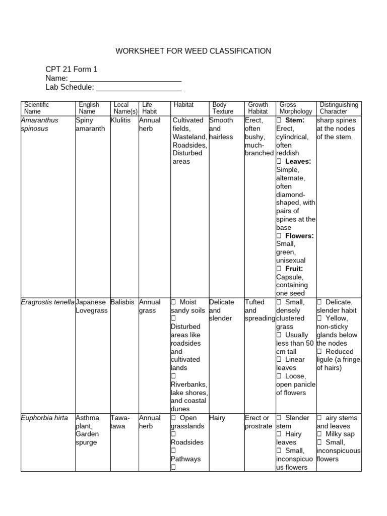 Weed Classification Worksheet | PDF | Leaf | Plant Morphology