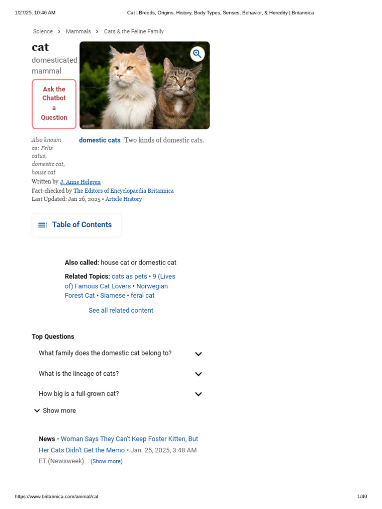 Cat - Breeds, Origins, History, Body Types, Senses, Behavior ...