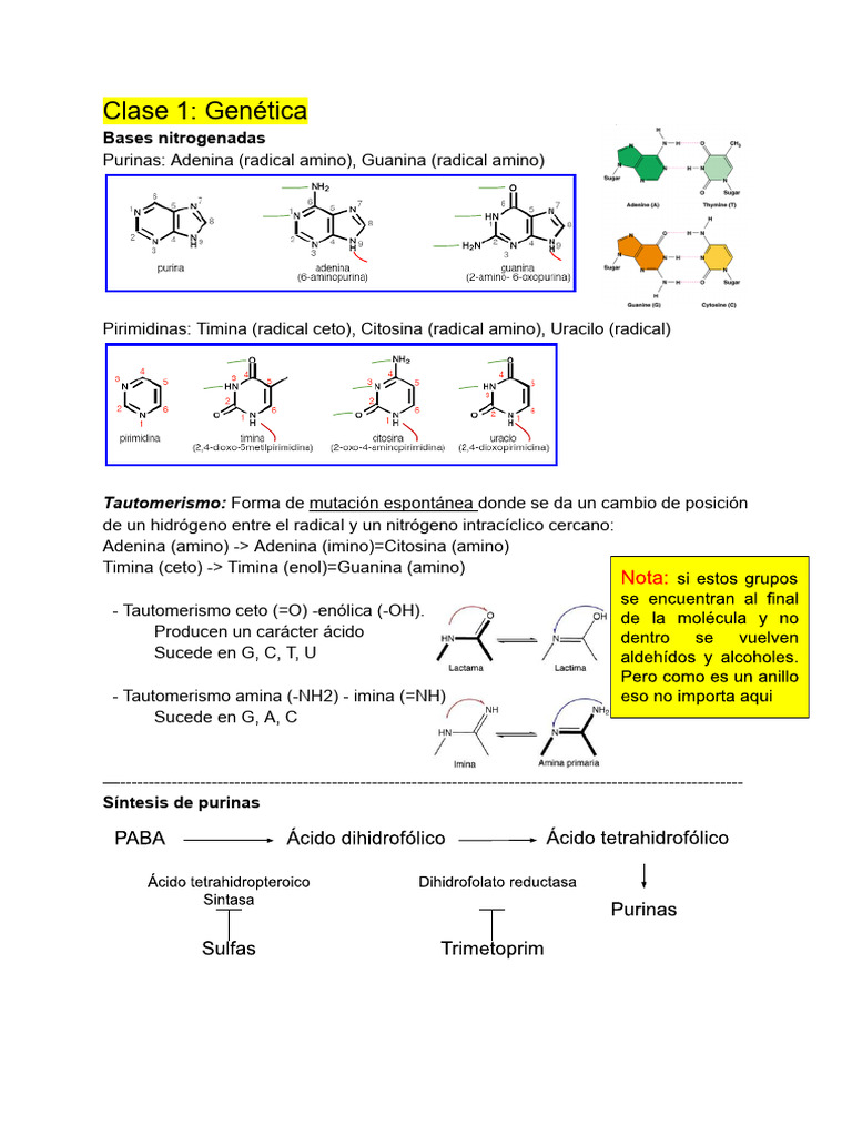 Micro Parcial | PDF