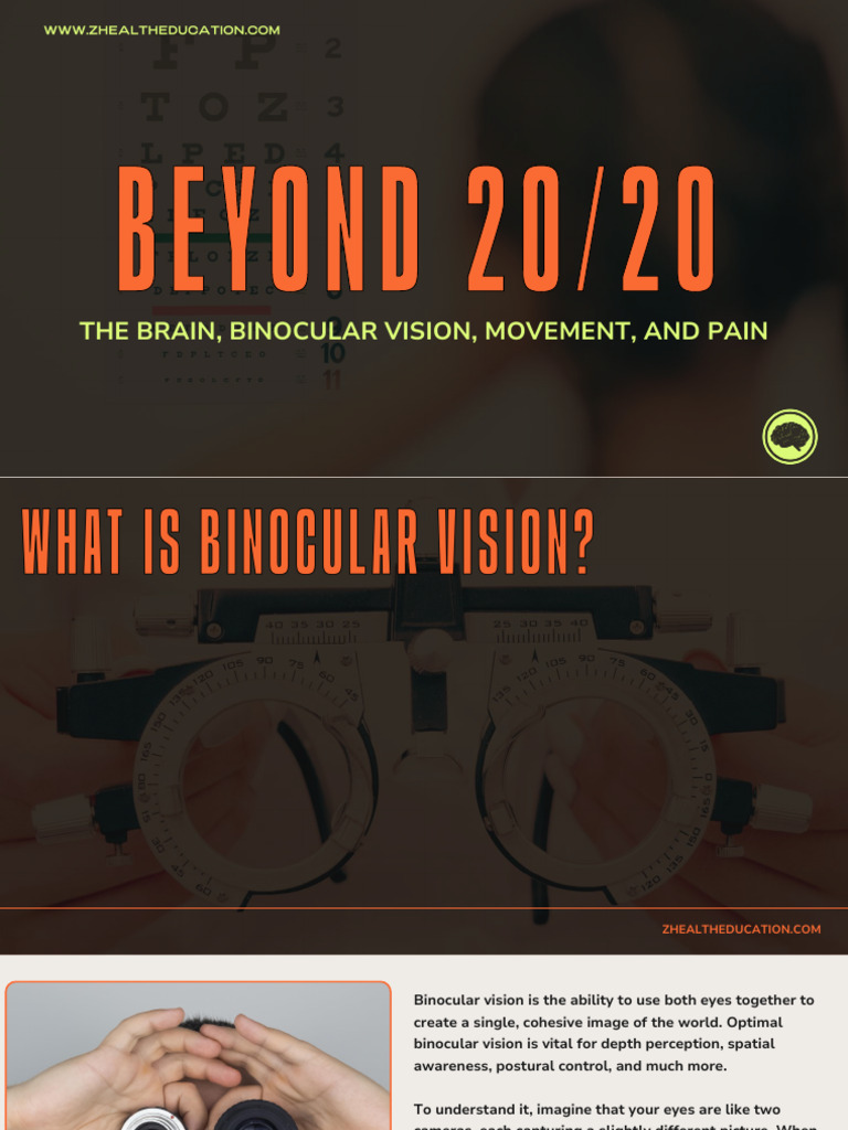 Binocular Vision Dysfunction The Brain Binocular Vision Movement and ...