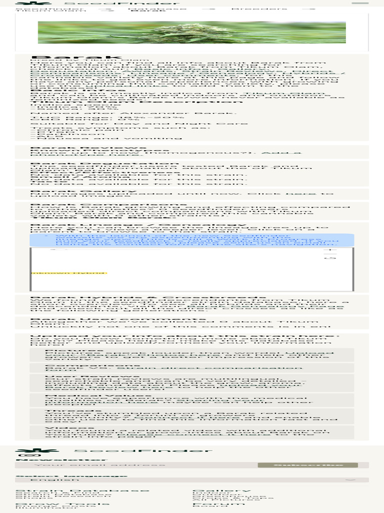 Barak (Tikum Olam) Cannabis Strain Info SeedFinder - Eu | PDF | Cannabis