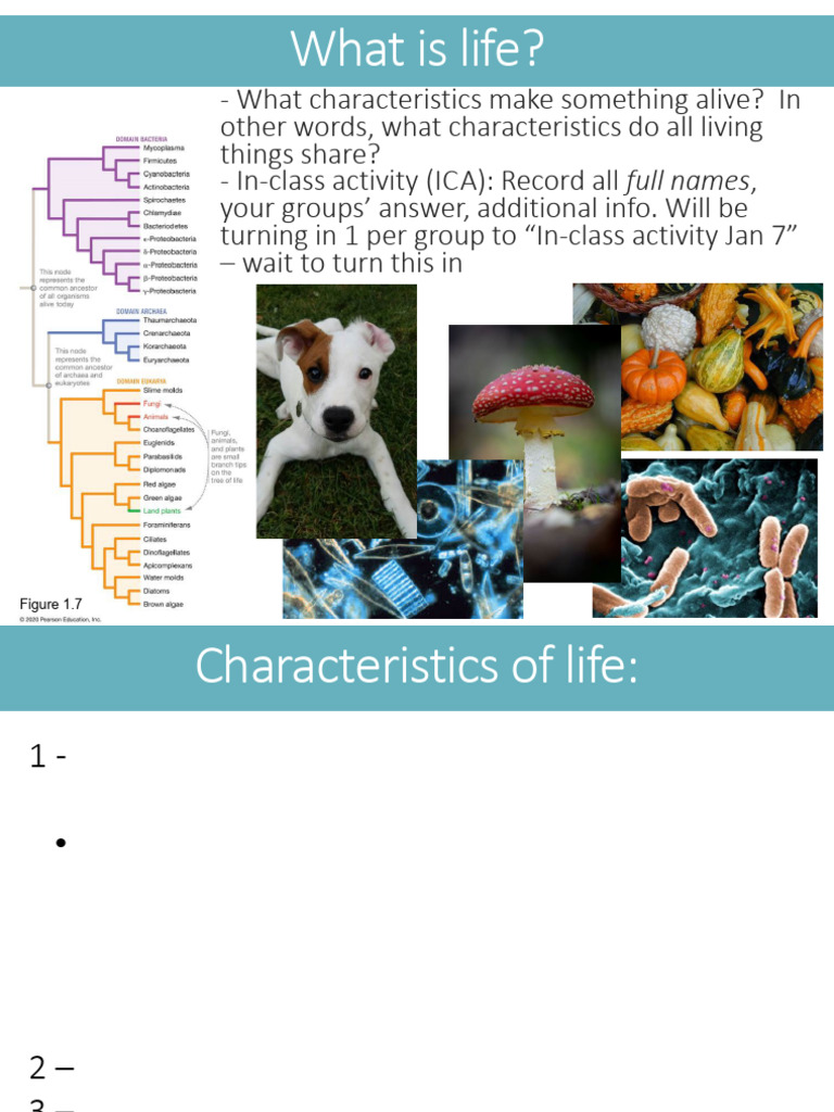 Scientific Method and Process of Science - Before | PDF | Hypothesis ...