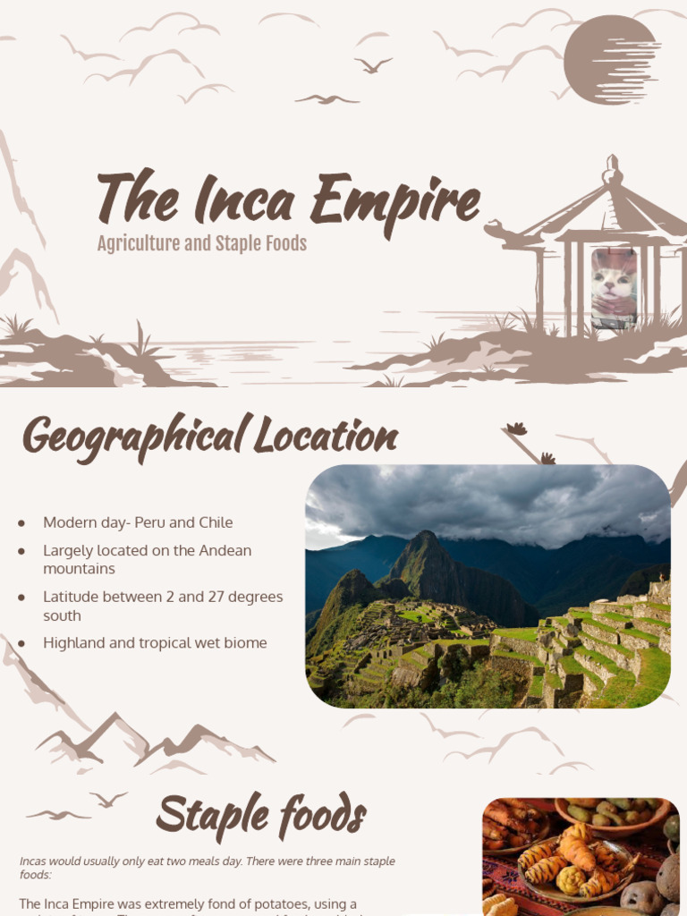 Copy of INCA EMPIRE | PDF | Staple Foods | Inca Empire