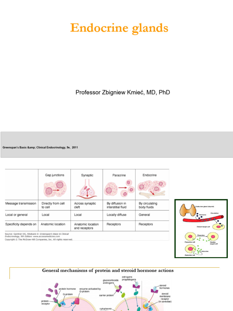 Endocrine Glands and Hormone Functions | PDF | Adrenal Gland | Thyroid