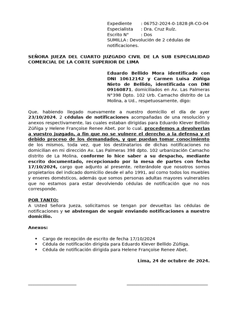 Devolución de Cédulas de Notificación | PDF | Documento de identidad | Justicia