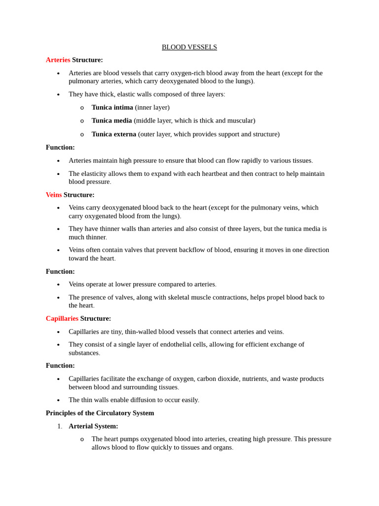 BLOOD VESSELS | PDF | Artery | Blood Pressure