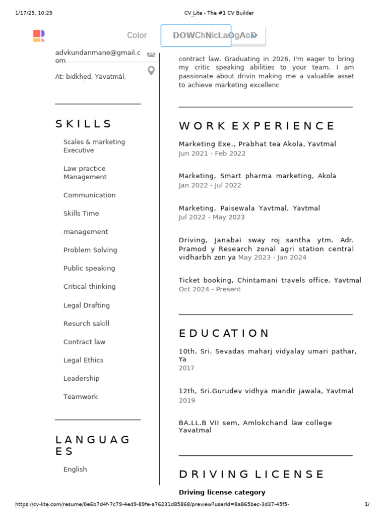 CV 2 Lite | PDF