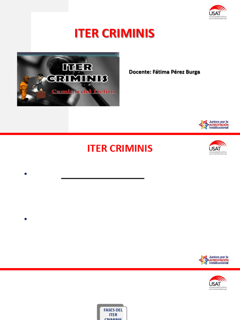 Fases del Iter Criminis en Derecho Penal | PDF | Derecho penal ...