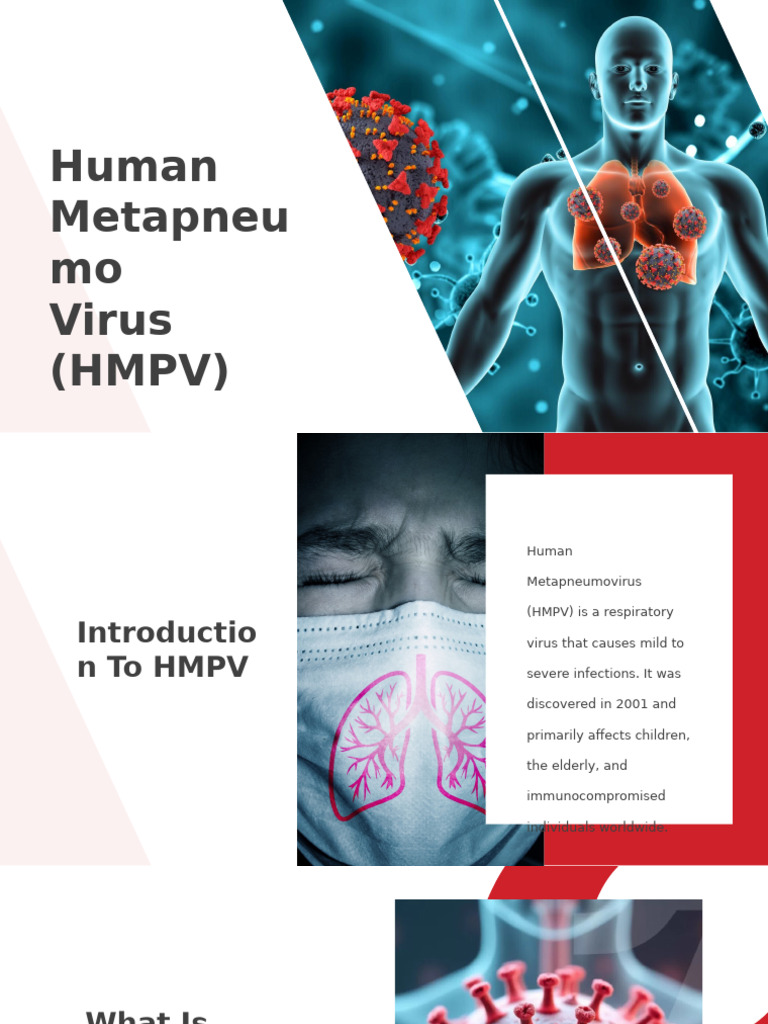 SlideEgg - 201022-Human Metapneumovirus | PDF | Health Sciences ...