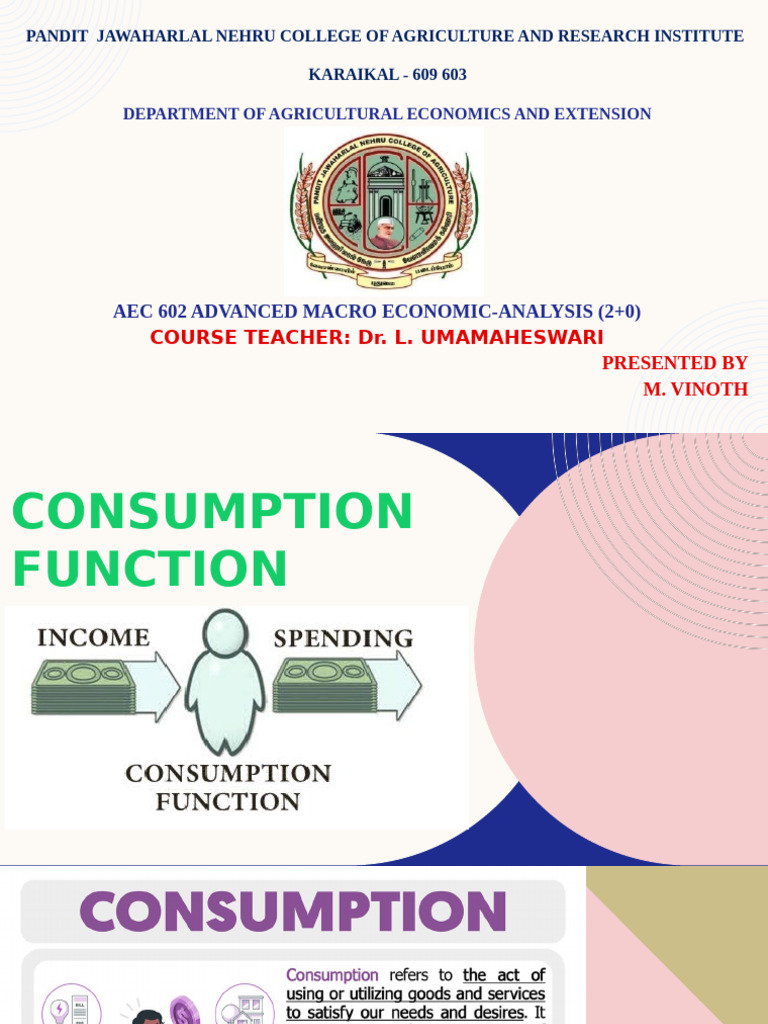 Consumption Function | PDF | Consumption (Economics) | Consumer Behaviour