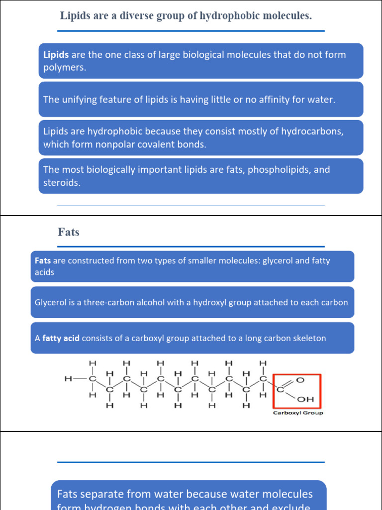 Lipids | PDF | Lipid | Fat