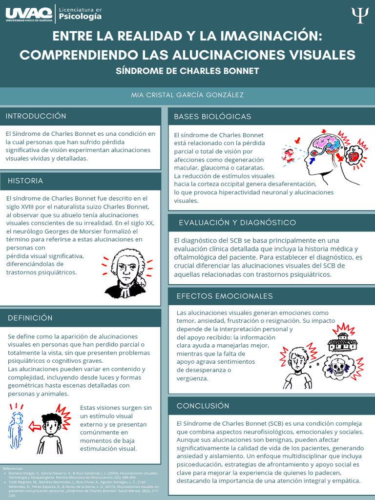 Alucinaciones Visuales: Síndrome de Charles Bonnet | PDF | Alucinación ...