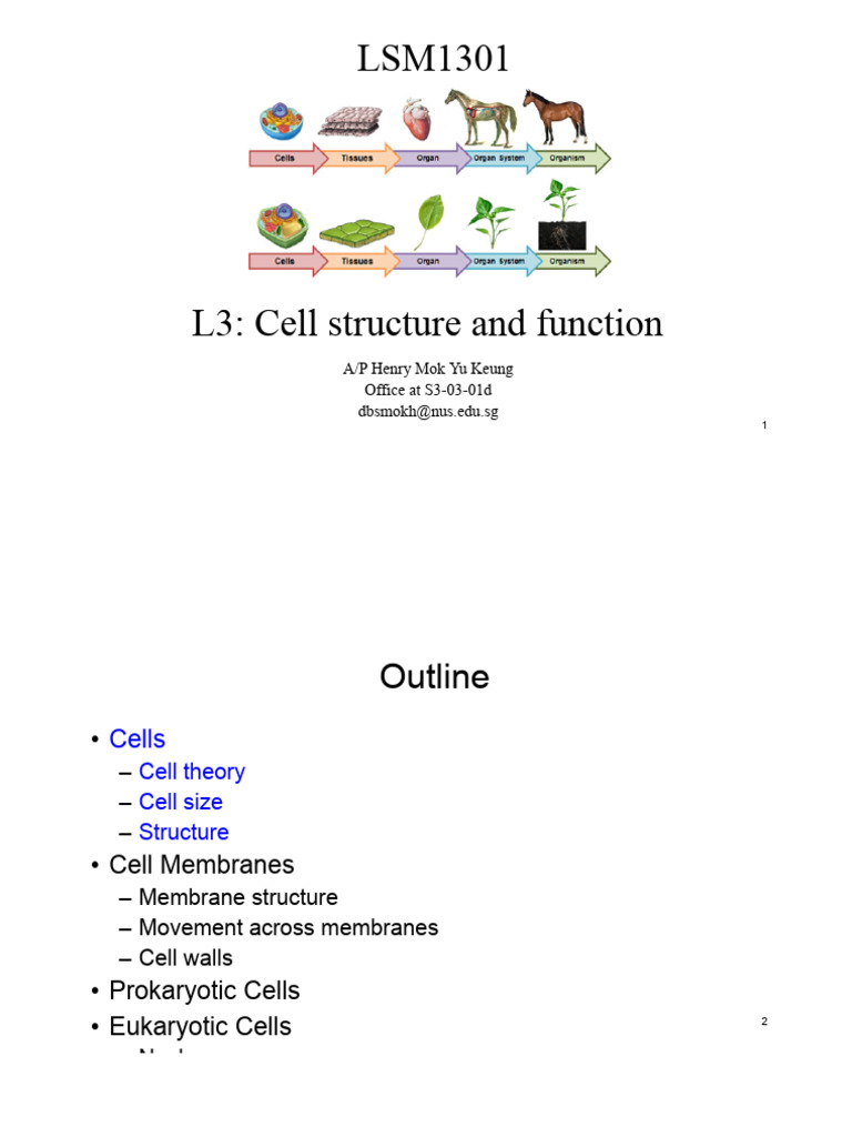 Cell+Structure+and+Function Notes | PDF | Endoplasmic Reticulum | Cell ...