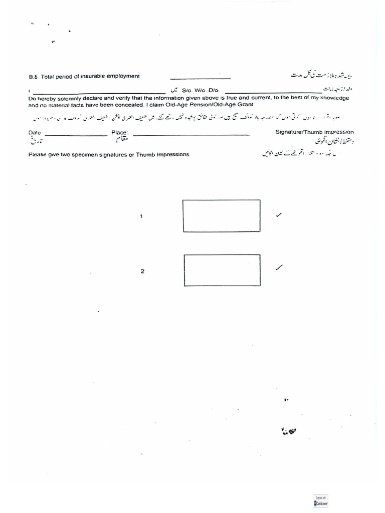 EOBI Pension Form | PDF