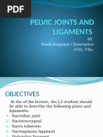Understanding SIJ: Form and Force Closure | PDF | Pelvis | Vertebral Column