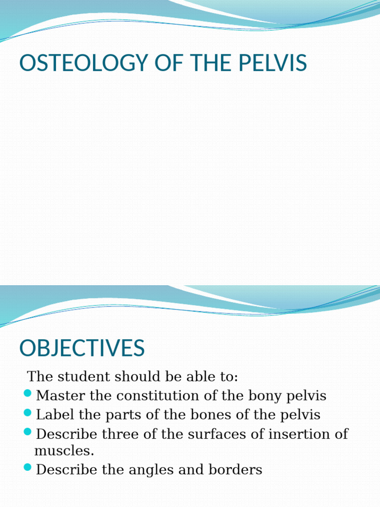 Osteology of the Pelvis | PDF | Pelvis | Hip