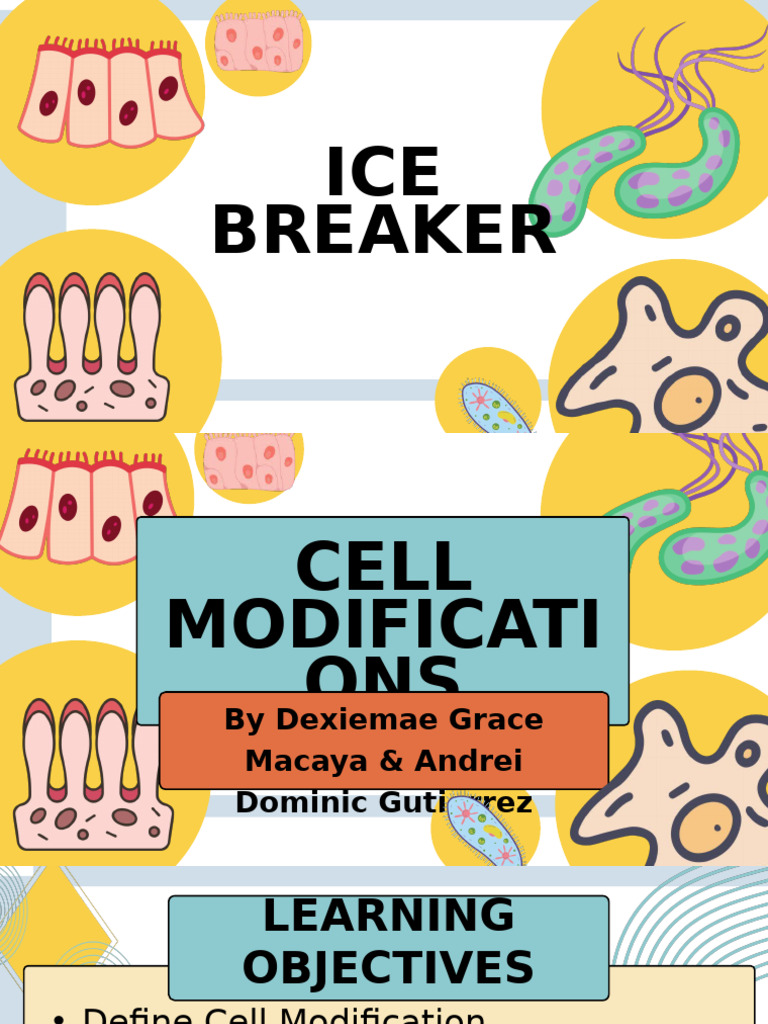 Cell Modifications 2 | PDF