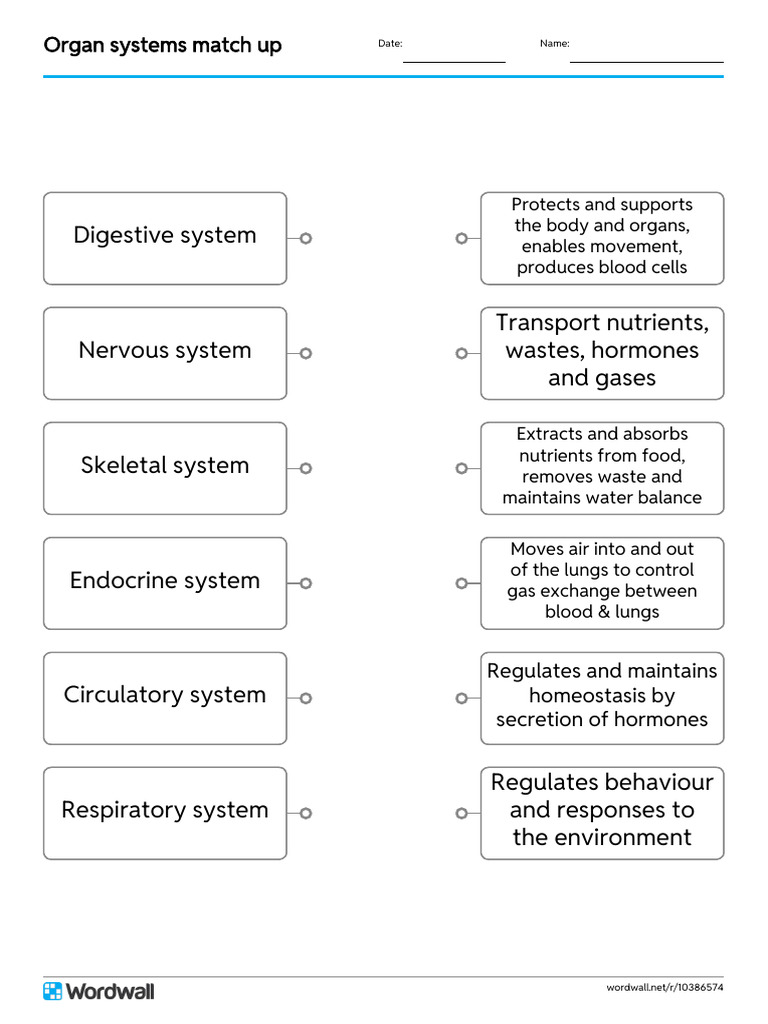 Organ Systems Overview and Functions | PDF