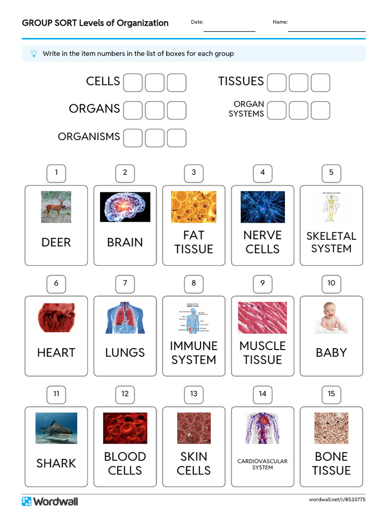 Group Sort Levels of Organization Group Sort | PDF