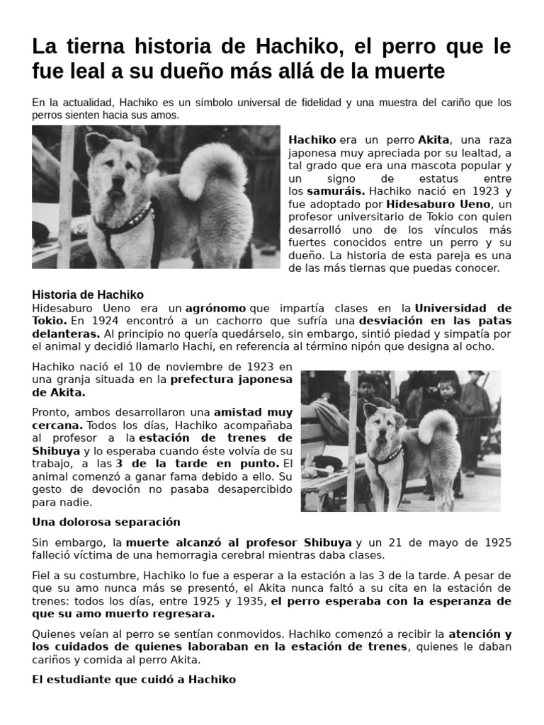 La tierna historia de Hachiko | PDF