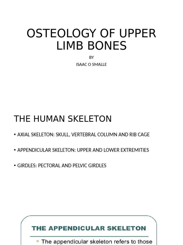 Osteology of Upper Limb Bones | PDF