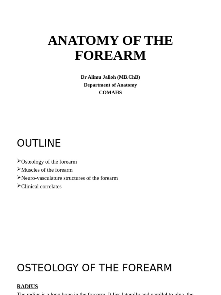 Forearm Anatomy: Bones, Muscles, and Vessels | PDF | Thumb | Hand