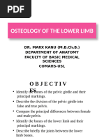 Answers Lab8 9 AppendicularSkeleton | PDF | Pelvis | Hip