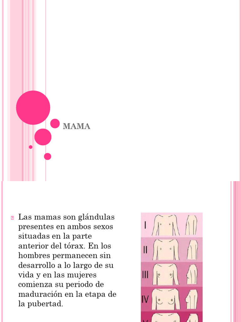 Anatomía y Cirugías de las Mamas | PDF