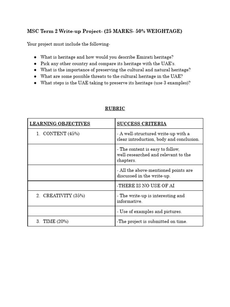 MSC T2 Project 2024-25 | PDF