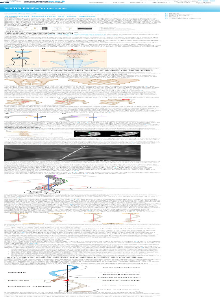 Sagittal Balance of the Spine Explained | PDF | Pelvis | Vertebral Column