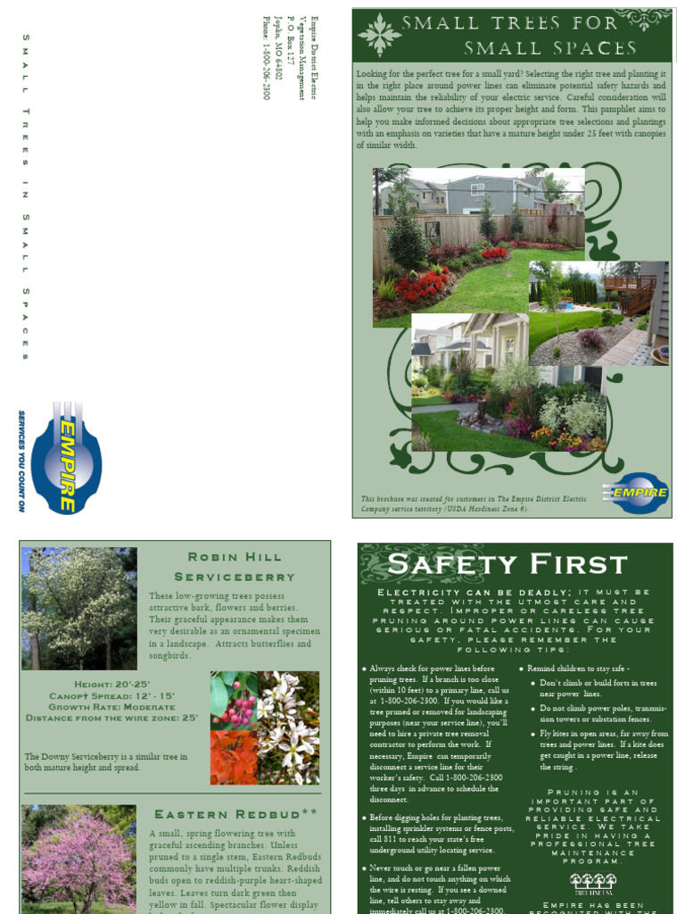 Small Trees Brochure Final 2014 | PDF | Trees | Pruning