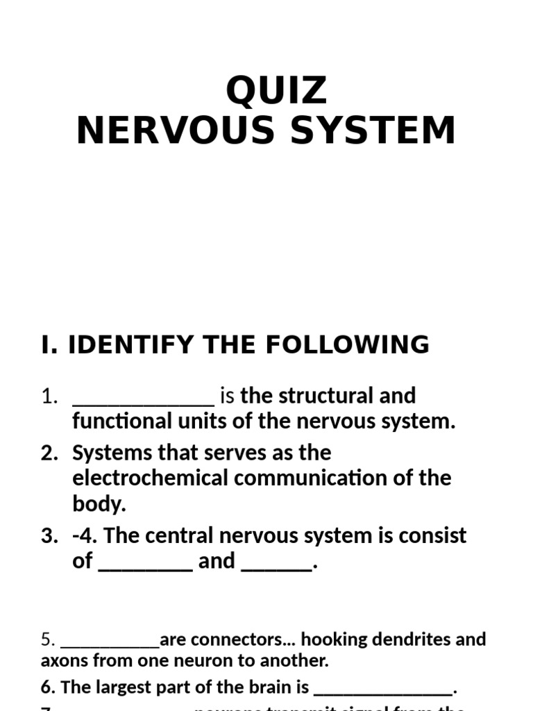 Nervous System Quiz and Key Concepts | PDF
