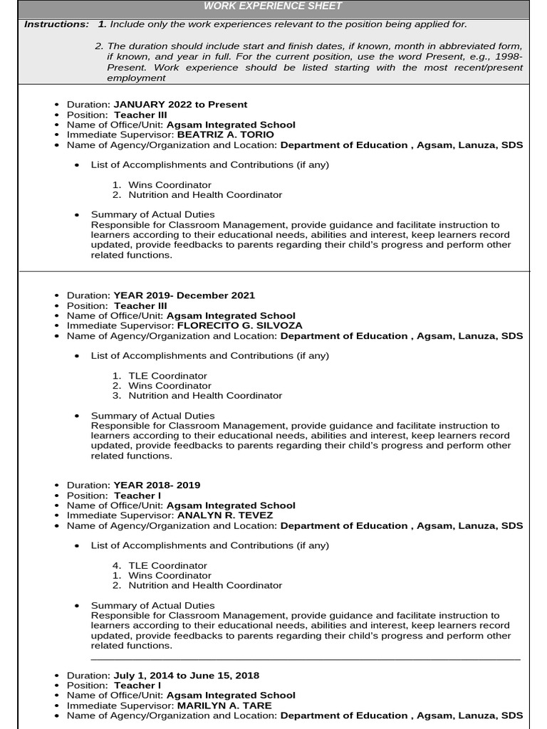 Work Experience Sheet 2023 | PDF | Teaching | Human Communication