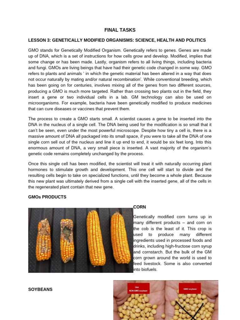 STS - Final Tasks (Genetically Modified Organisms) - DONE | PDF | Genetically Modified Organism ...