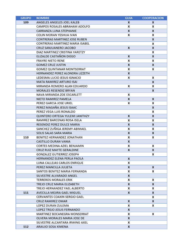 Reporte Proy Final Guias 1ros | PDF