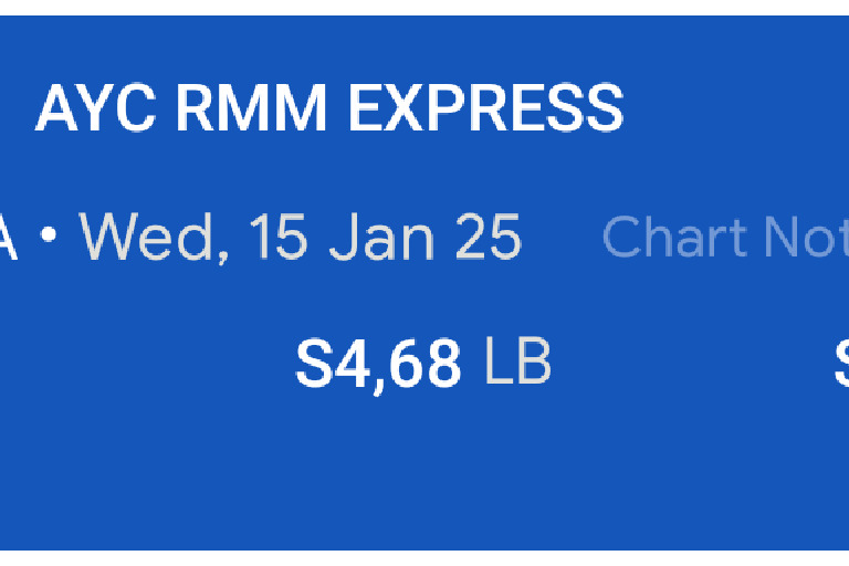 German for future | PDF