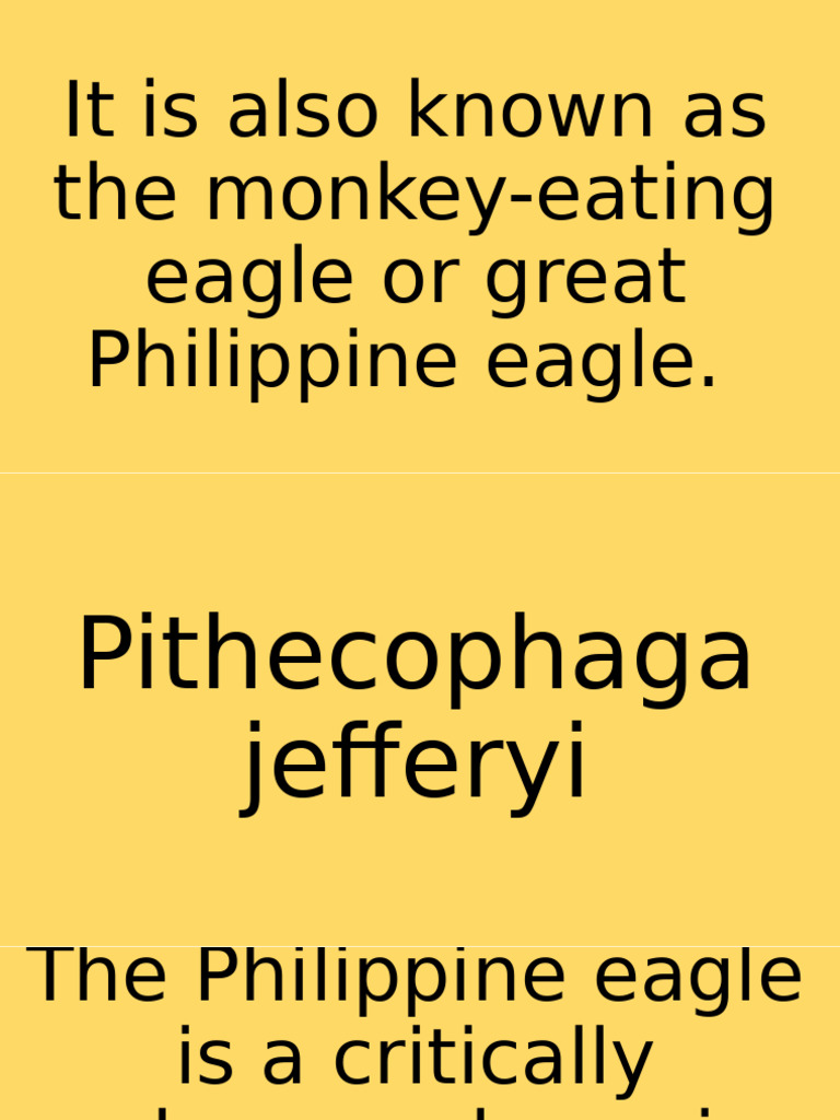 Pithecophaga Jefferyi | PDF