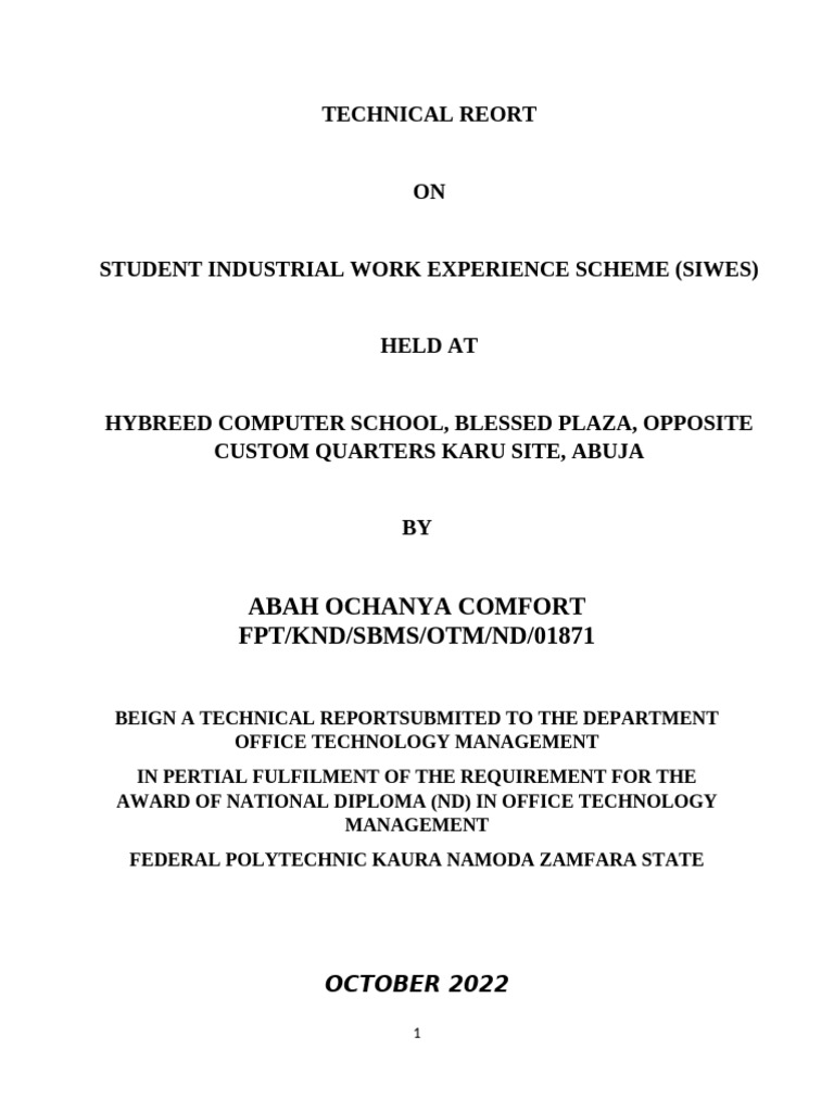 Adex Technical Report | PDF | Operating System | Microsoft Word