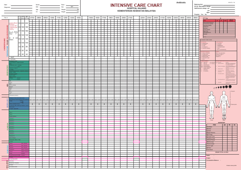 Intensive Care Chart A2 (Pengesahan) 1 | PDF | Blood Pressure ...