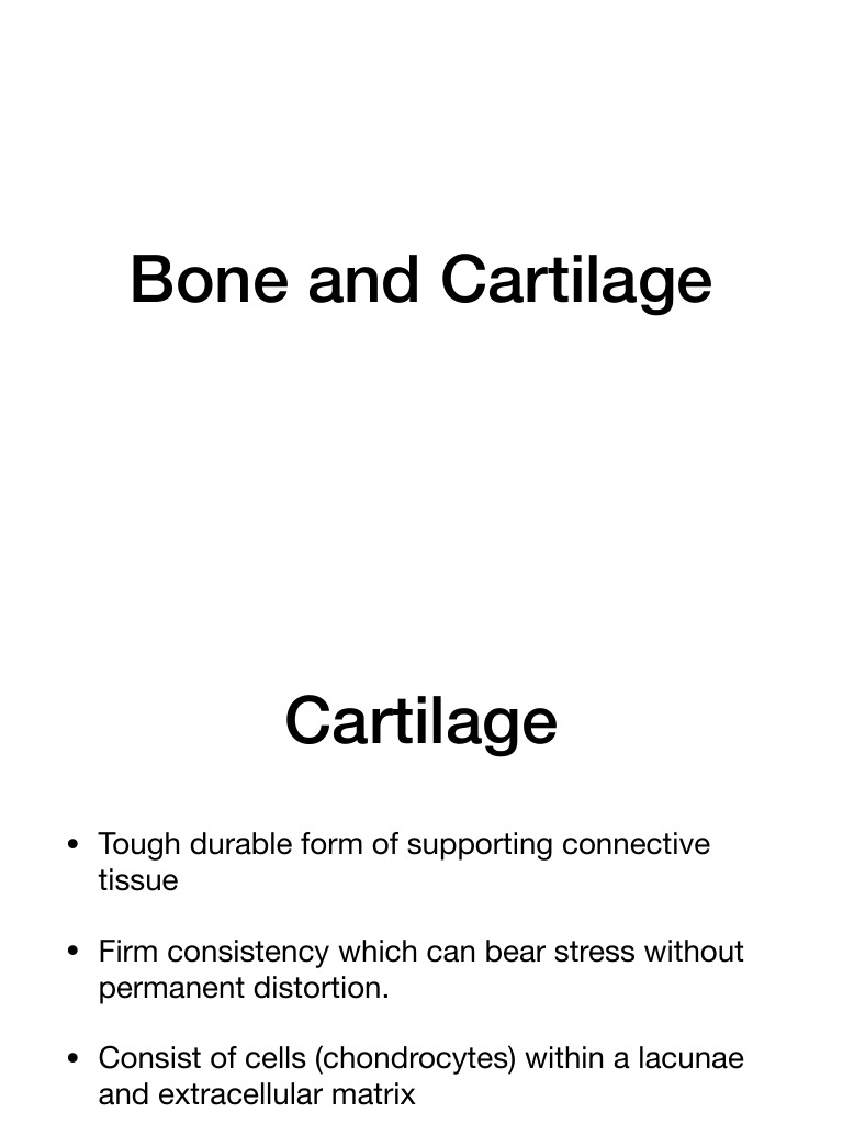 Bone and Cartilage: Structure and Types | PDF | Bone | Cartilage