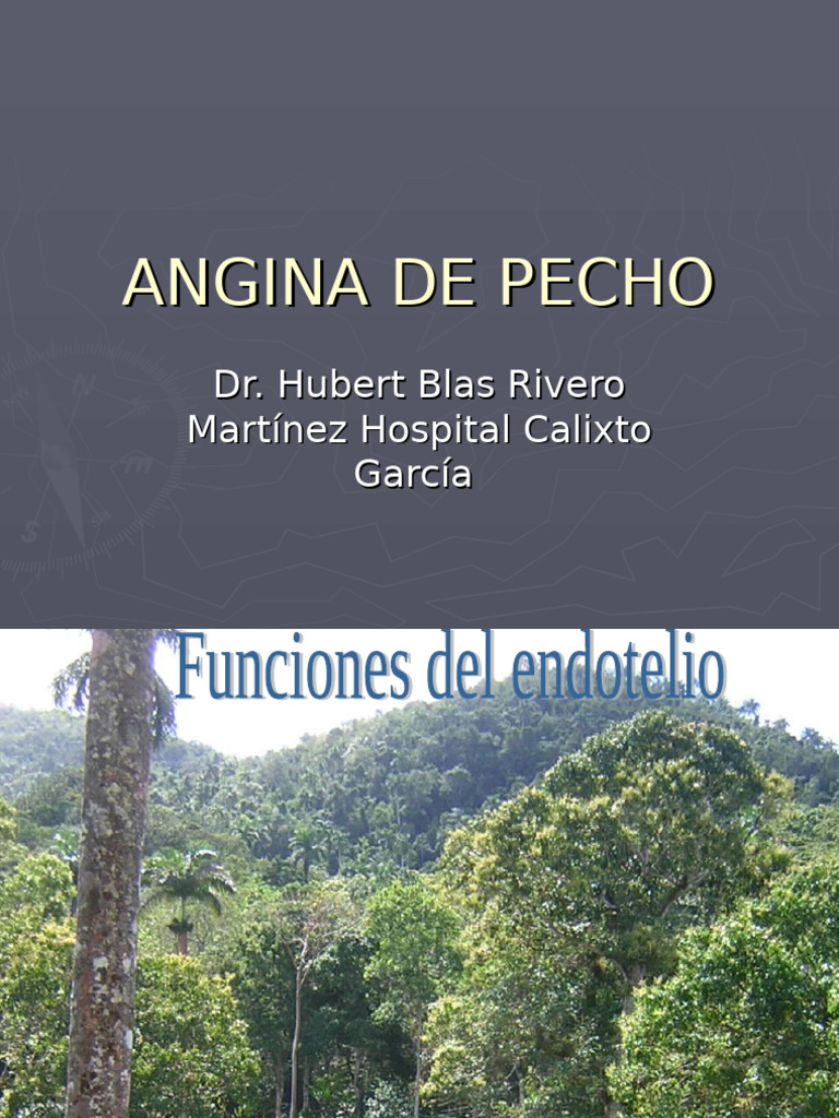 Angina de Pecho | PDF | Electrocardiografia | Enfermedades y trastornos