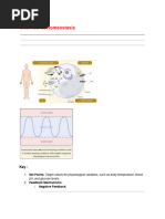 Homeostasis Quiz and Answer Key | PDF | Homeostasis | Physiology