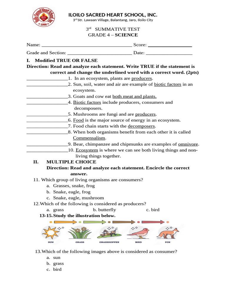 Grade 4 Science Summative Test | PDF | Ecosystem | Herbivore